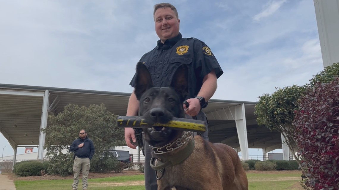 Law enforcement, canine teams come to train in Warner Robins | 13wmaz.com
