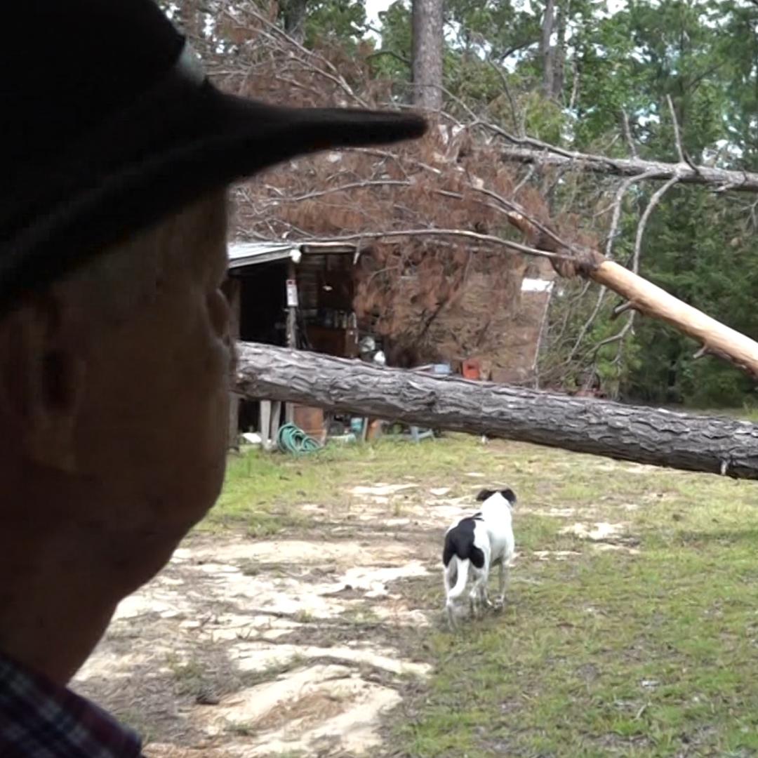 97-year-old Angelo Crowe fights Hurricane Helene aftermath | 13wmaz.com