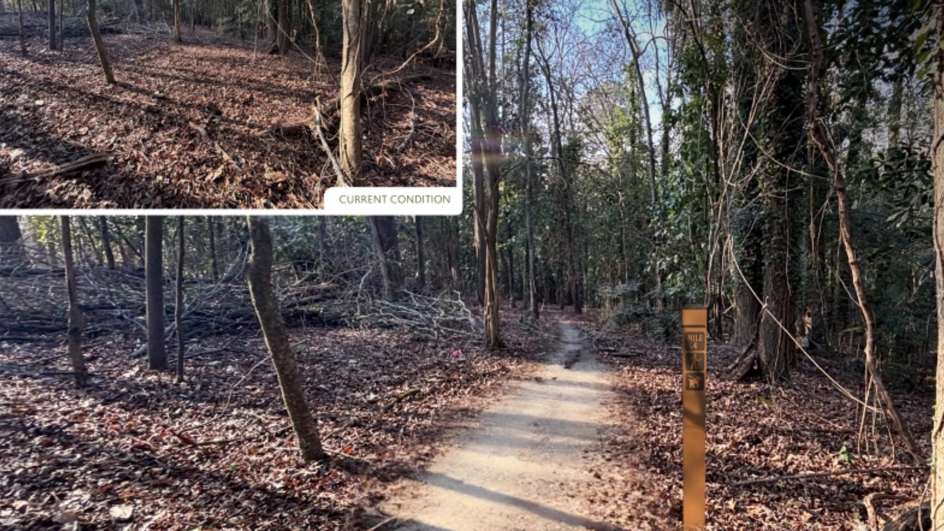 Residents rally for NewTown Macon's proposed nature trail project ...