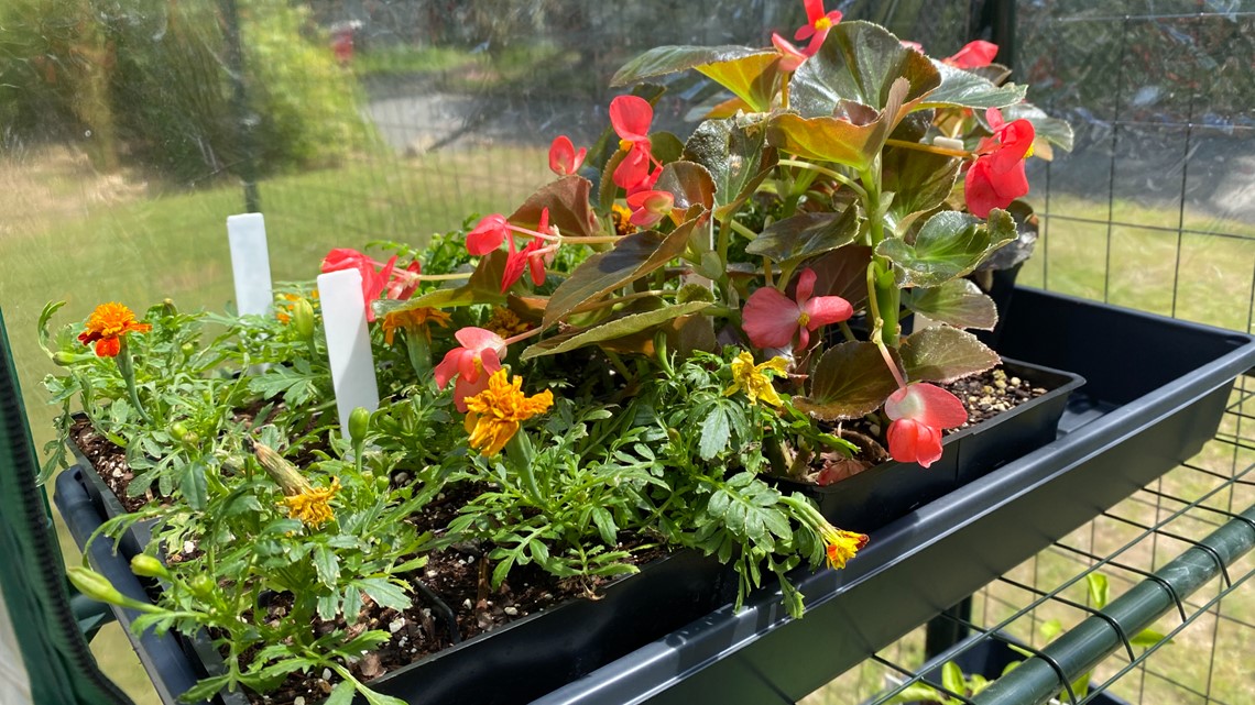 Grow Macon has new community garden | 13wmaz.com