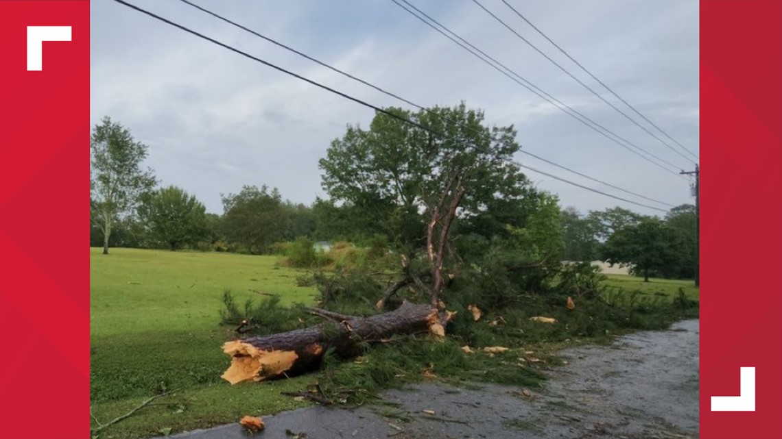 Downed trees in Houston County after severe thunderstorms | 13wmaz.com