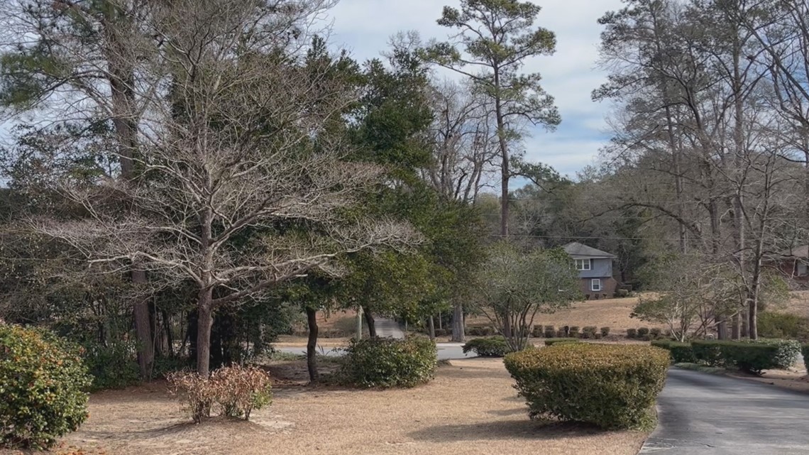Bill In The Ga Senate Could Put A Cap On Property Tax Hikes 13wmaz bill-in-the-ga-senate-could-put-a-cap-on-property-tax-hikes-13wmaz