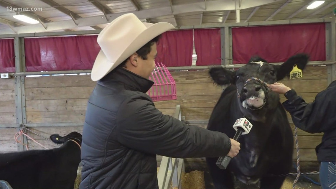 Georgia National Rodeo and Stock Show preview | 13wmaz.com