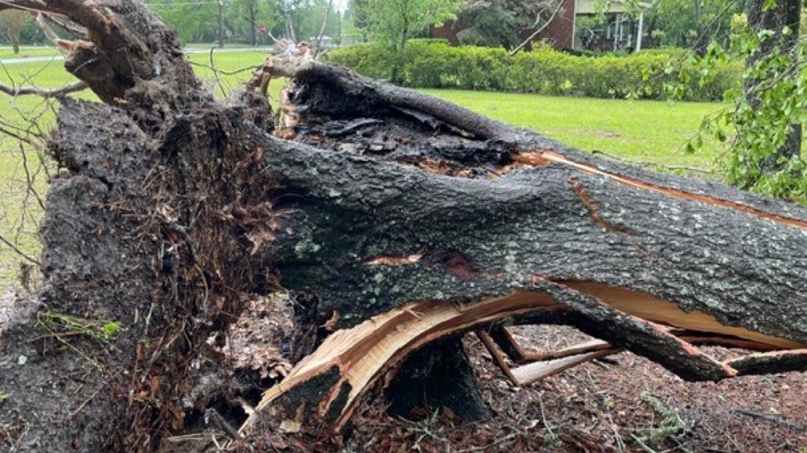 Central Georgia storm damage, road closings, and more | 13wmaz.com