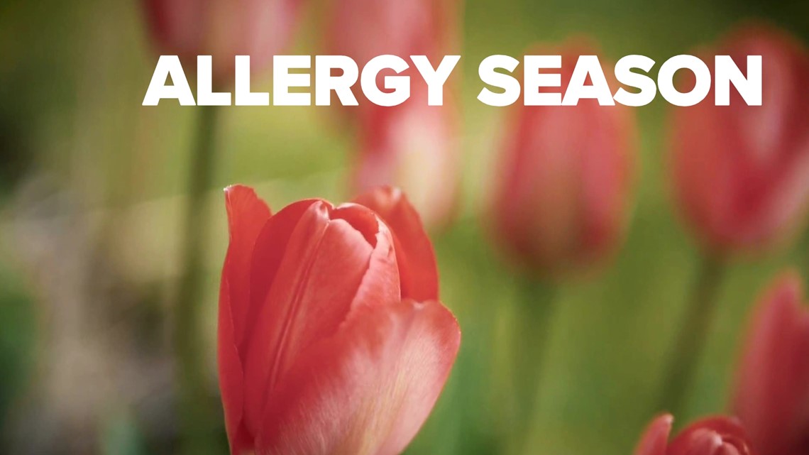 Here's how to prepare for spring time allergy season | 13wmaz.com