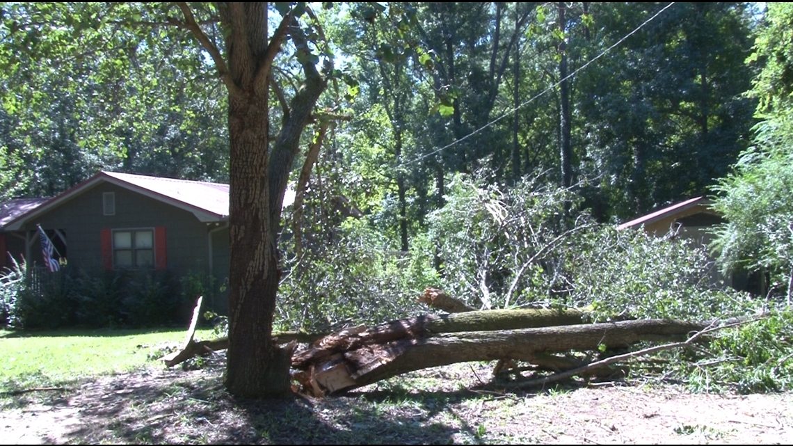 Monroe County family picking up downed limbs after severe storms ...