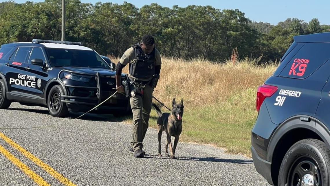 A suspect fled from law enforcement and straight into a law enforcement ...