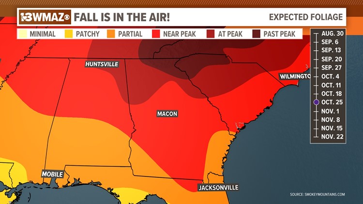 Why do leaves change colors during fall? | 13wmaz.com