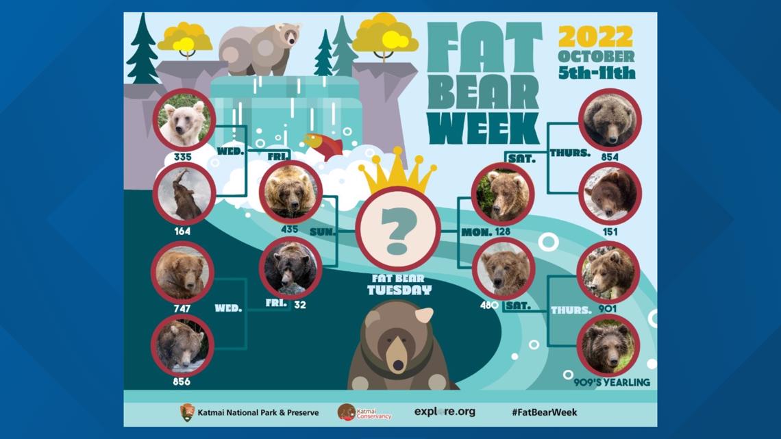 Fat Bear Week 2022, how to vote for your favorite bear | 13wmaz.com