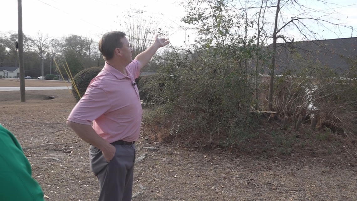 'Cut for a Cause': Macon tree service business gives back with free ...