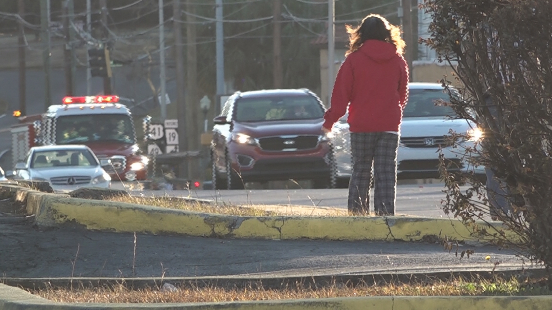 A Georgia county rescues 100 animals from hoarding case, shelter ...
