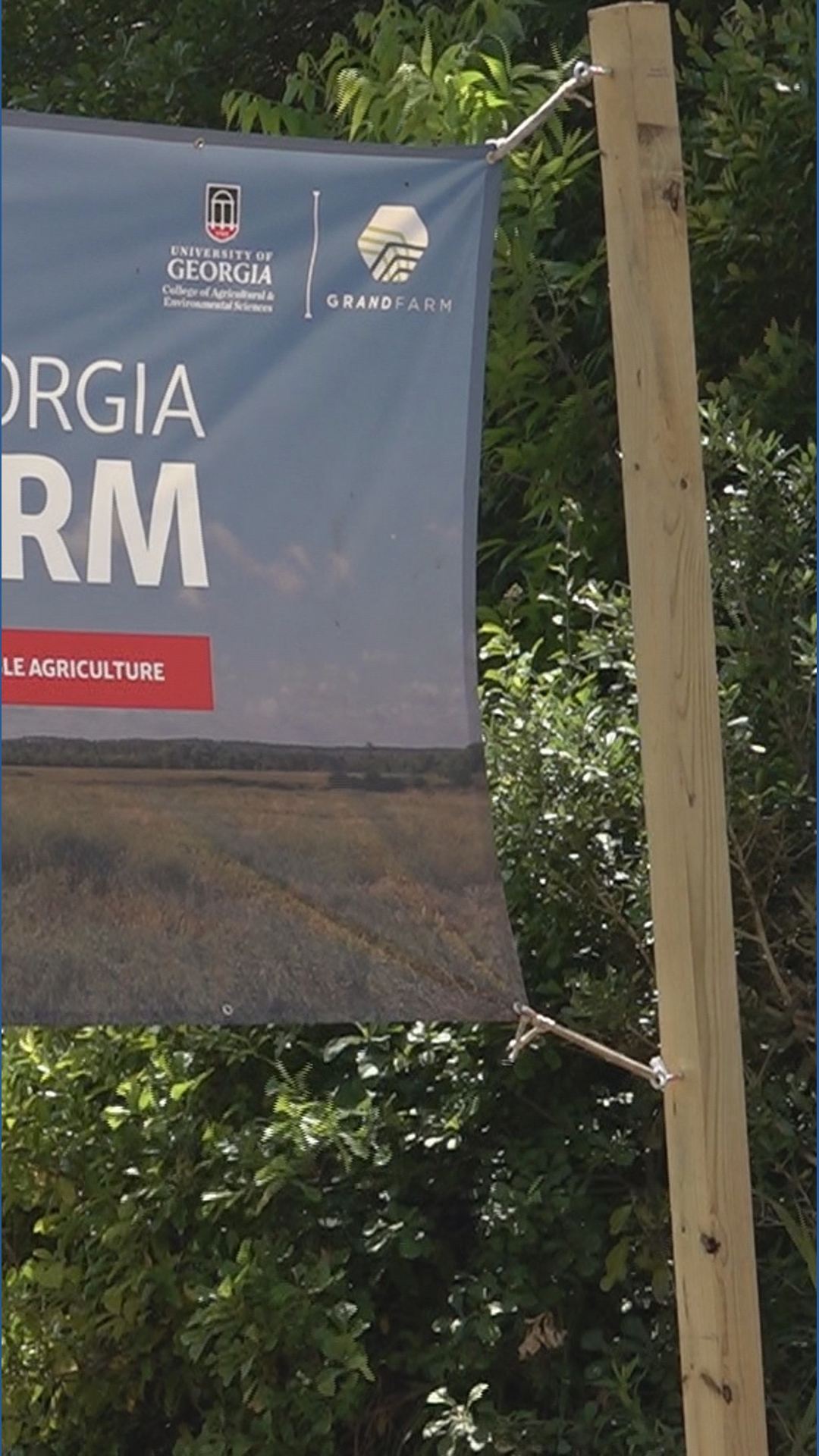 UGA Grand Farm leads agricultural innovation in Georgia | 13wmaz.com