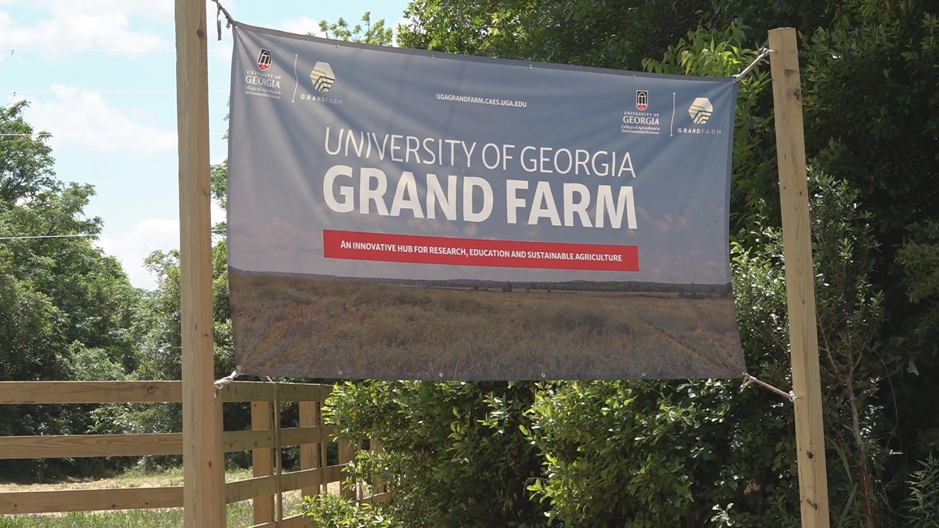 UGA Grand Farm leads agricultural innovation in Georgia | 13wmaz.com