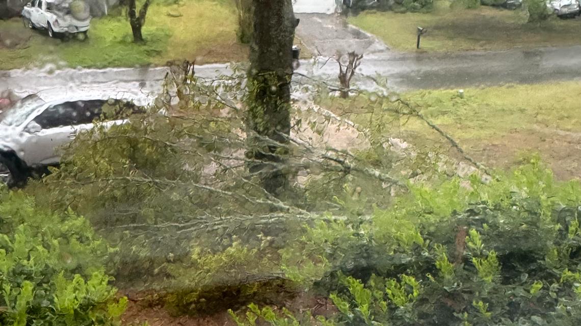 LIVE UPDATES: Georgia severe weather damage, power outages, road ...