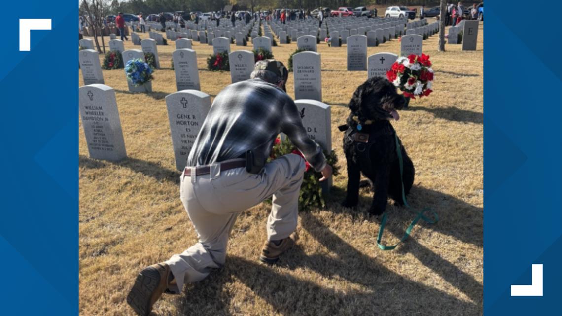 How to watch 13WMAZ+ on streaming platforms | 13wmaz.com