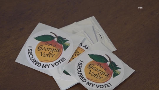 Georgia early voting starts October 14 for November election | What to ...