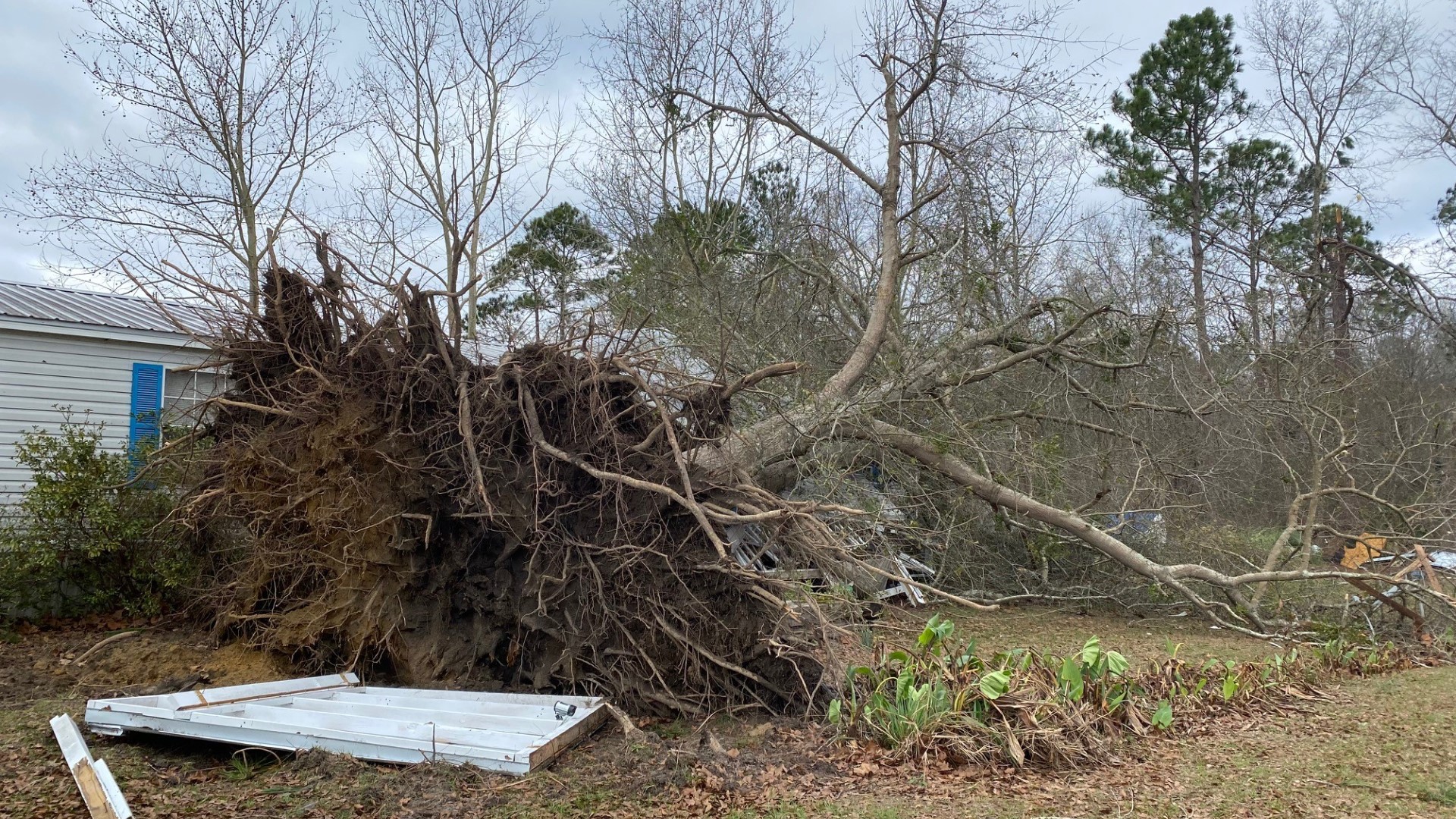 Family in Abbeville, Ga. uninjured after tree falls through roof ...