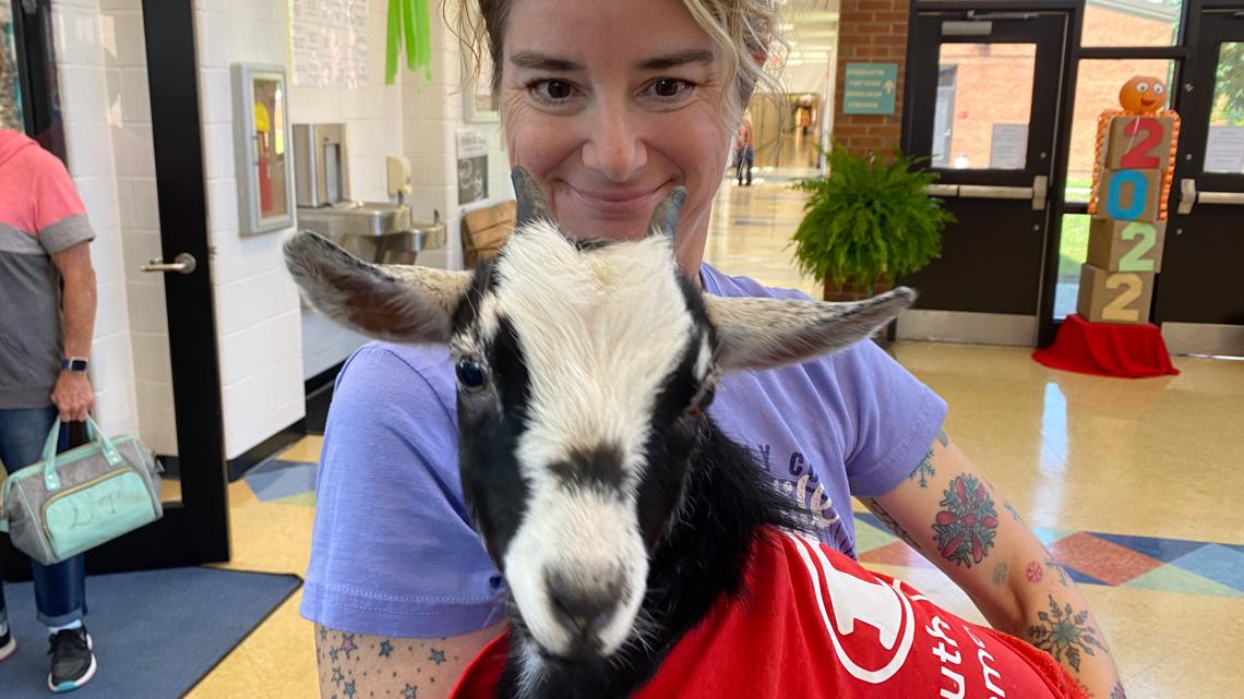 Therapy goat helps kids with reading in Eastman | 13wmaz.com