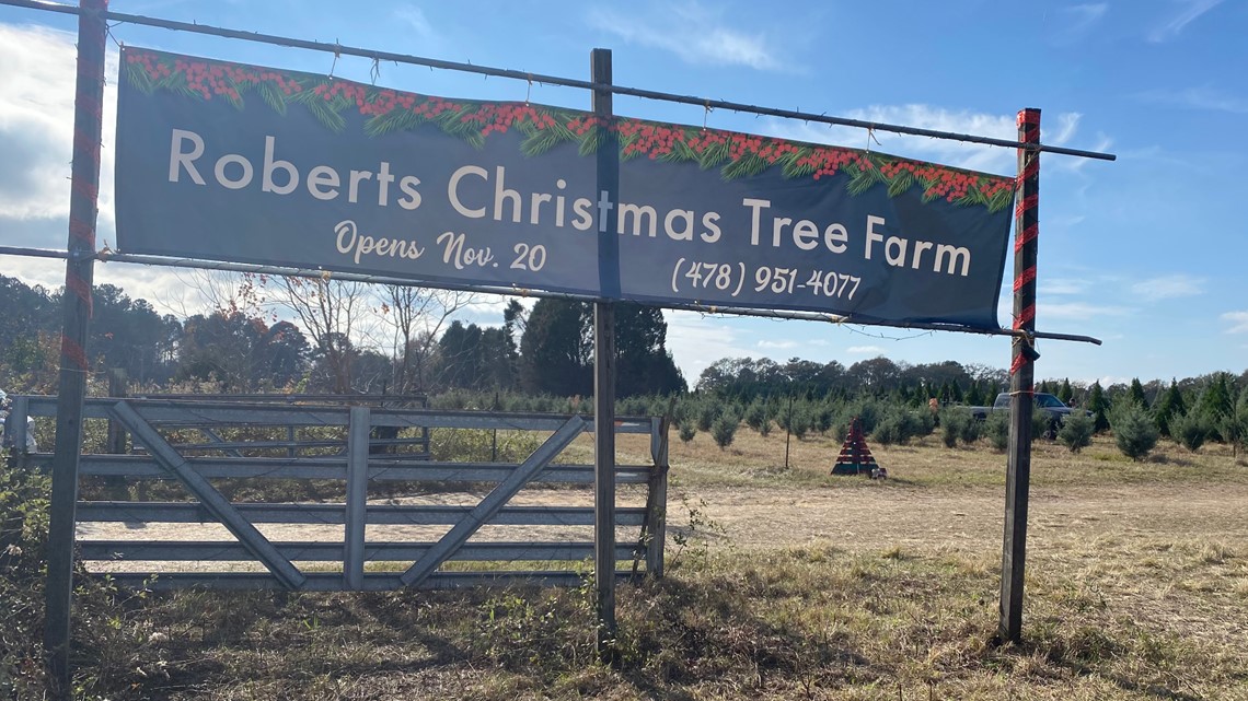 Roberts Christmas tree farm hosts big Tree Farm opening | 13wmaz.com