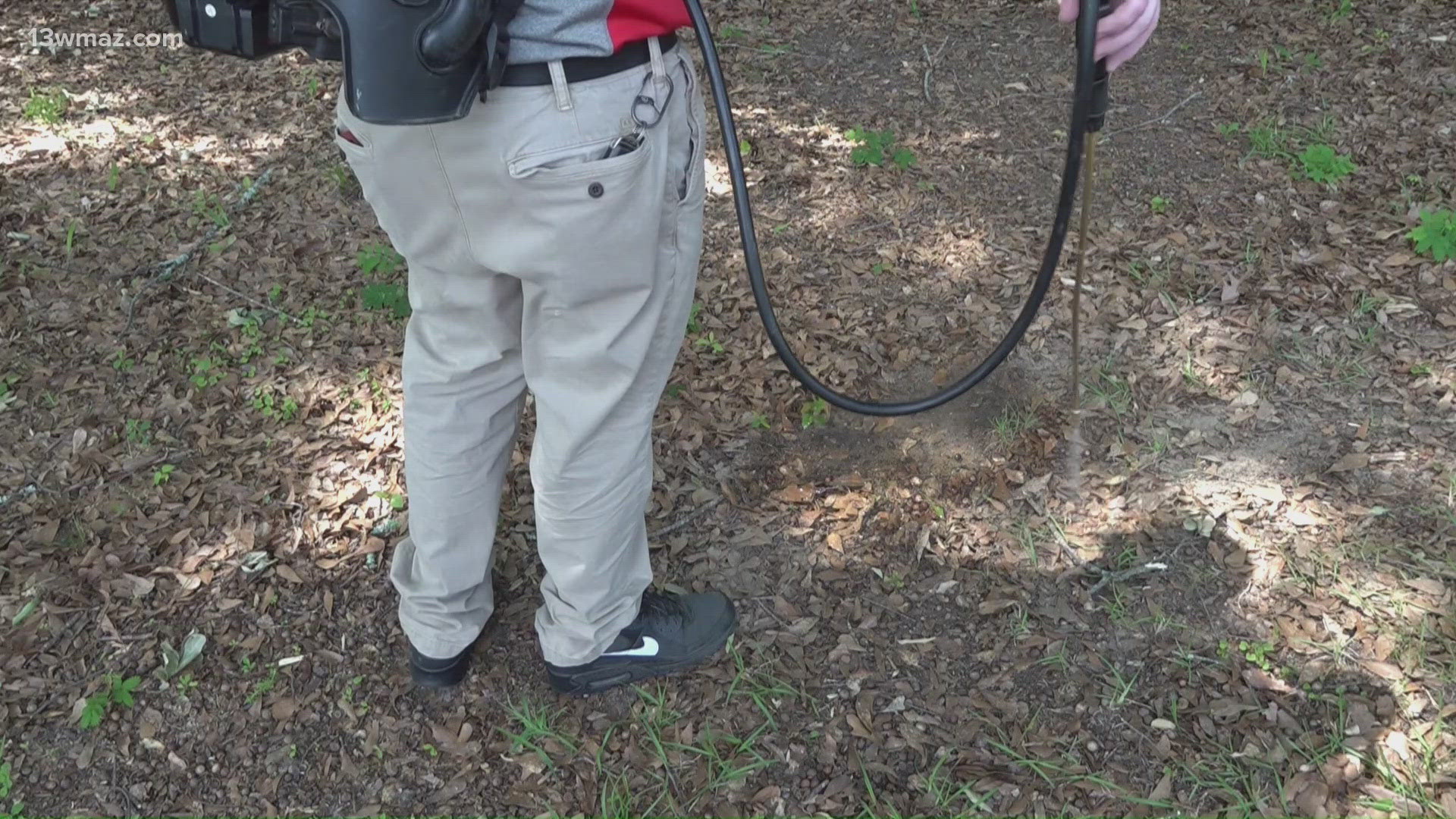 Spring brings pest surge to Central Georgia; invasive ants pose health ...