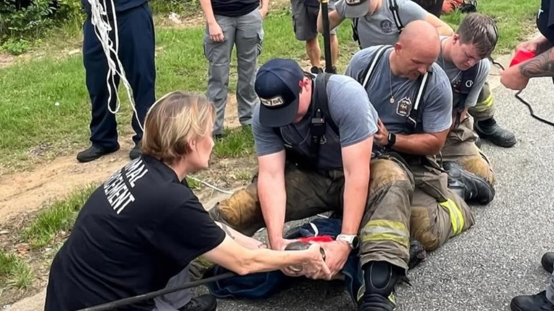 11-foot gator captured in South Bibb neighborhood | 13wmaz.com