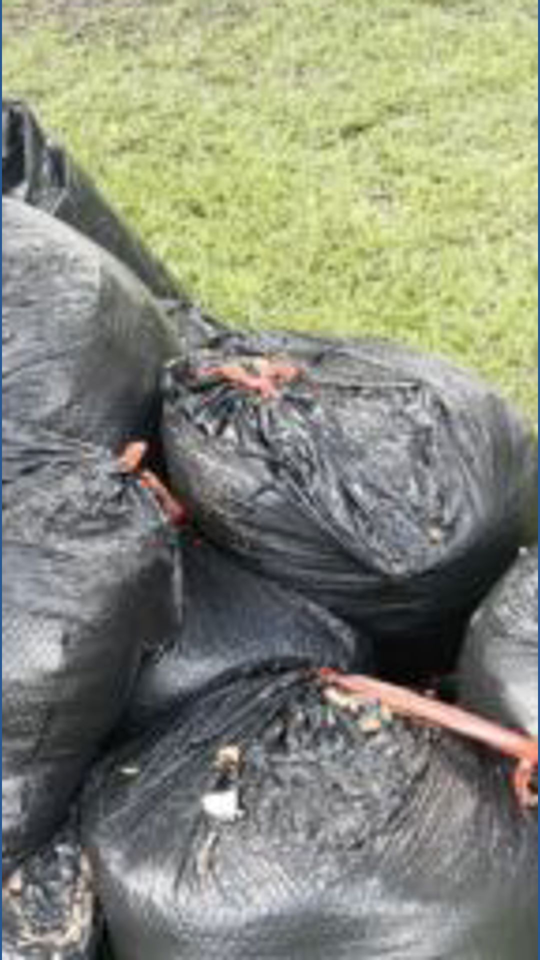 Houston County sees trash pile-up post Ryland takeover | 13wmaz.com