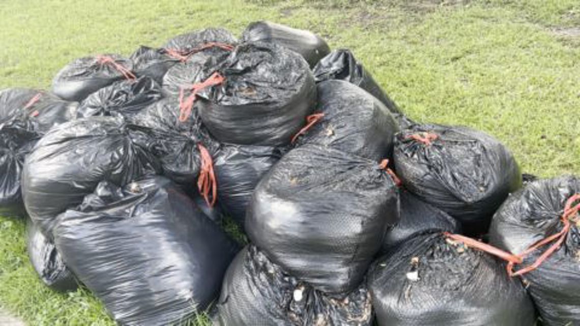 'Yards full of trash' | Confusion over new trash services leads to ...