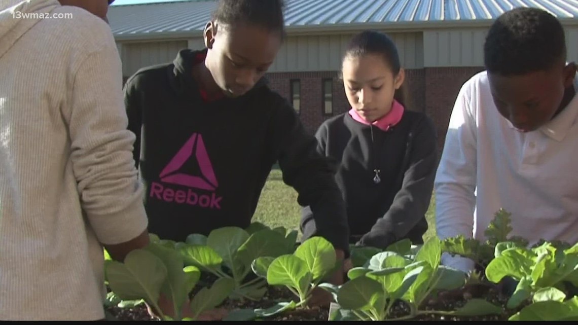 Students at Bruce Elementary in Macon learn farming basics through new ...