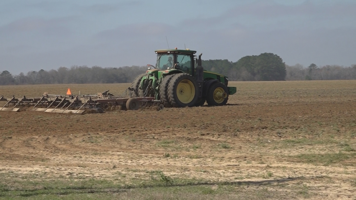 'Backs against the wall' | Georgia farmers brace for price spike as ...