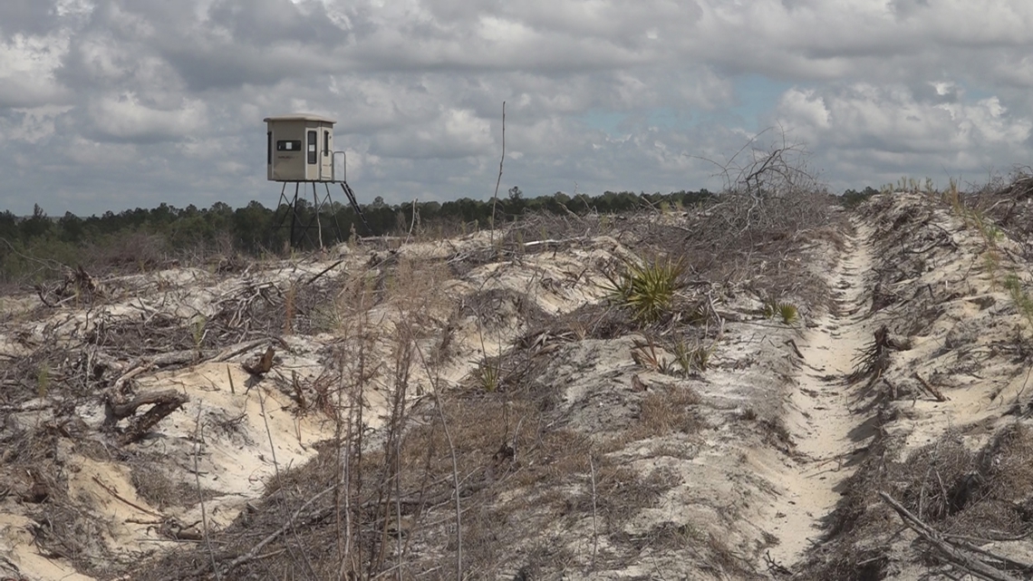 'Anything's gonna help us' | Timber farmers say industry still broken ...