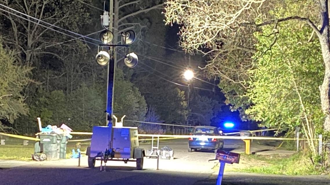 Georgia's 'Gnat Line' is real | 13wmaz.com