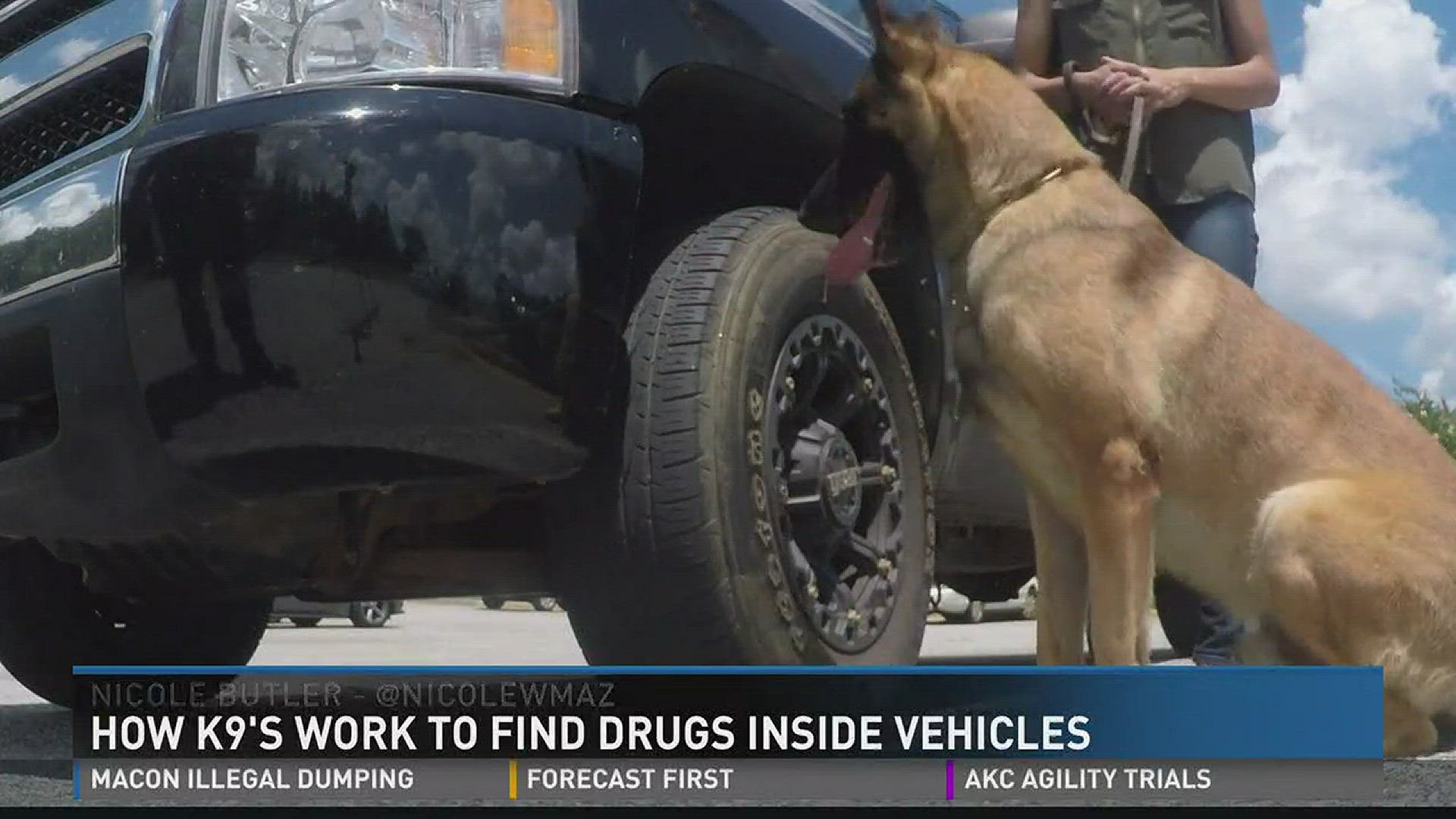 How K9s work to find drugs inside vehicles | 13wmaz.com