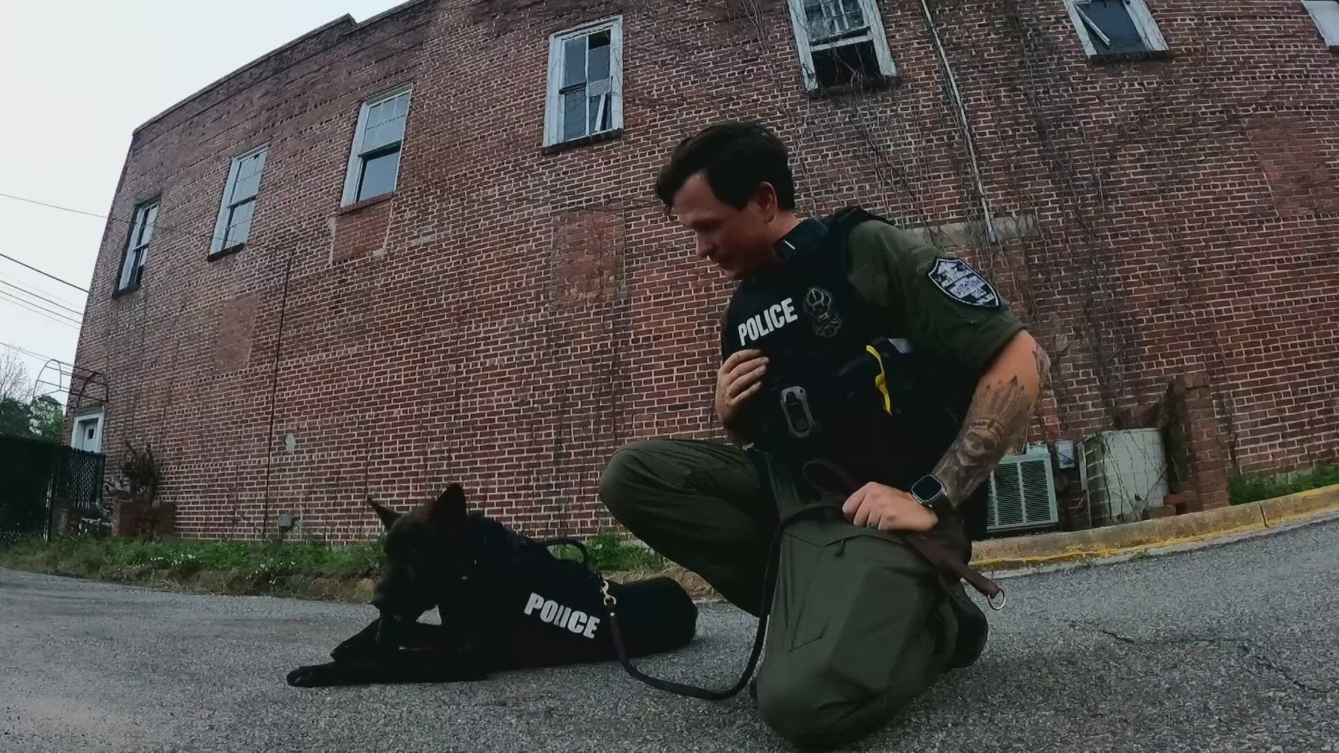 Milledgeville welcomes new K-9 officer Diesel | 13wmaz.com