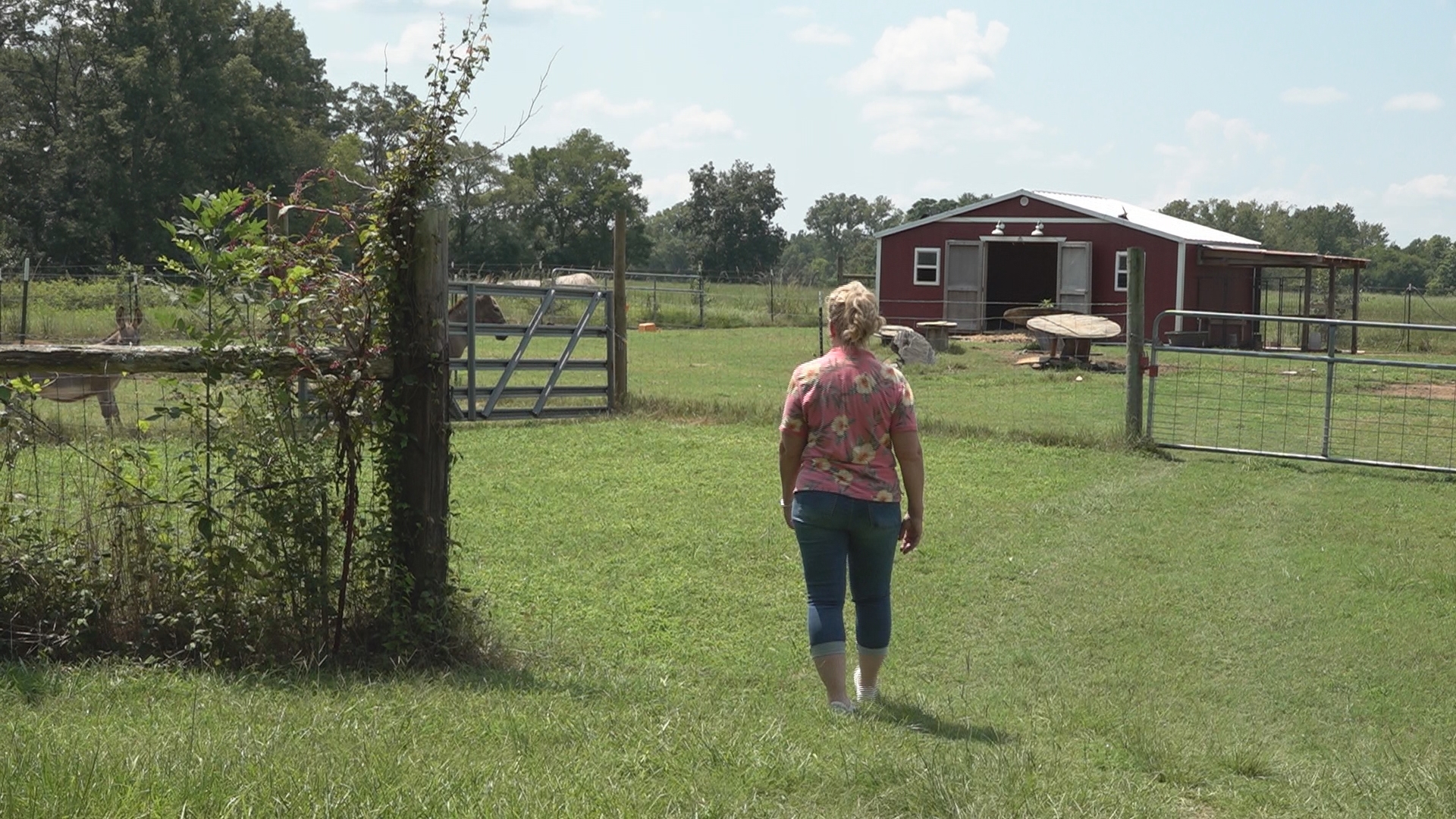Baldwin County tax hike impacts homeowners amid rising property values ...