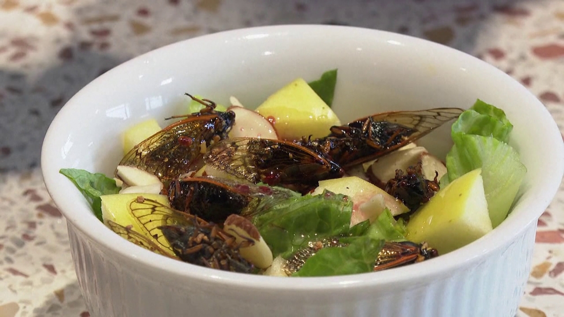 Crunchy delicacy: Cooking up cicadas | 13wmaz.com