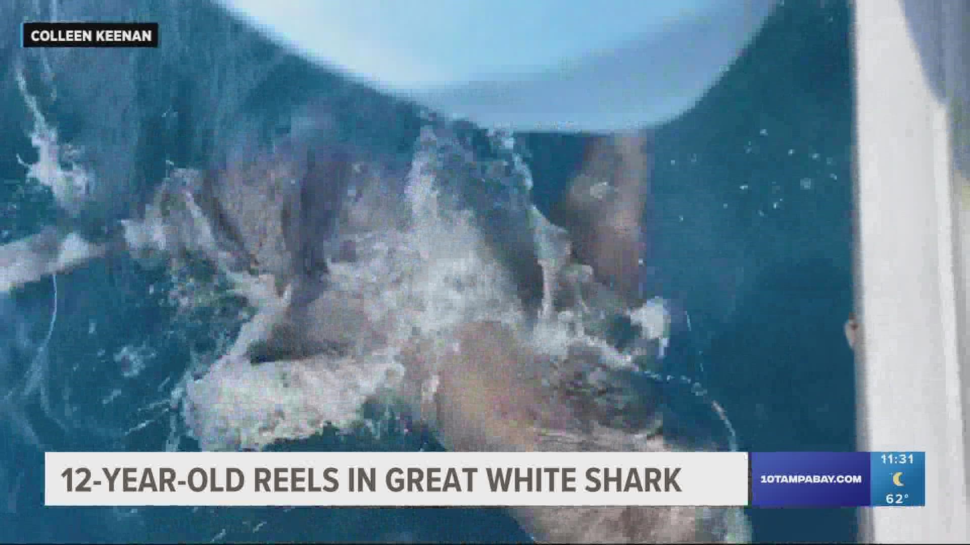 Florida boy catches great white shark fishing off Fort Lauderdale | 13wmaz.com