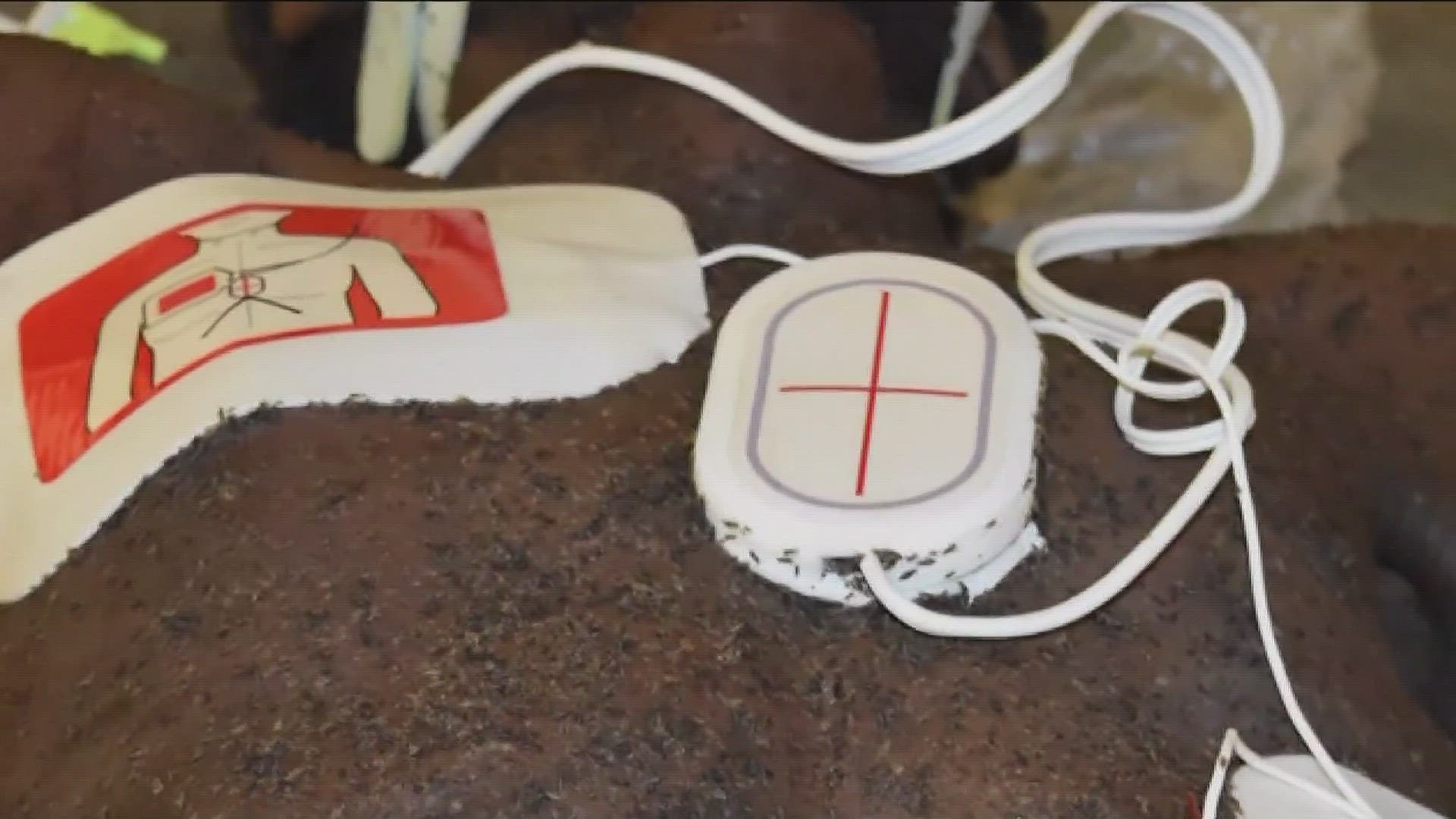 Protesters rally after death of man eaten alive by bed bugs | 13wmaz.com