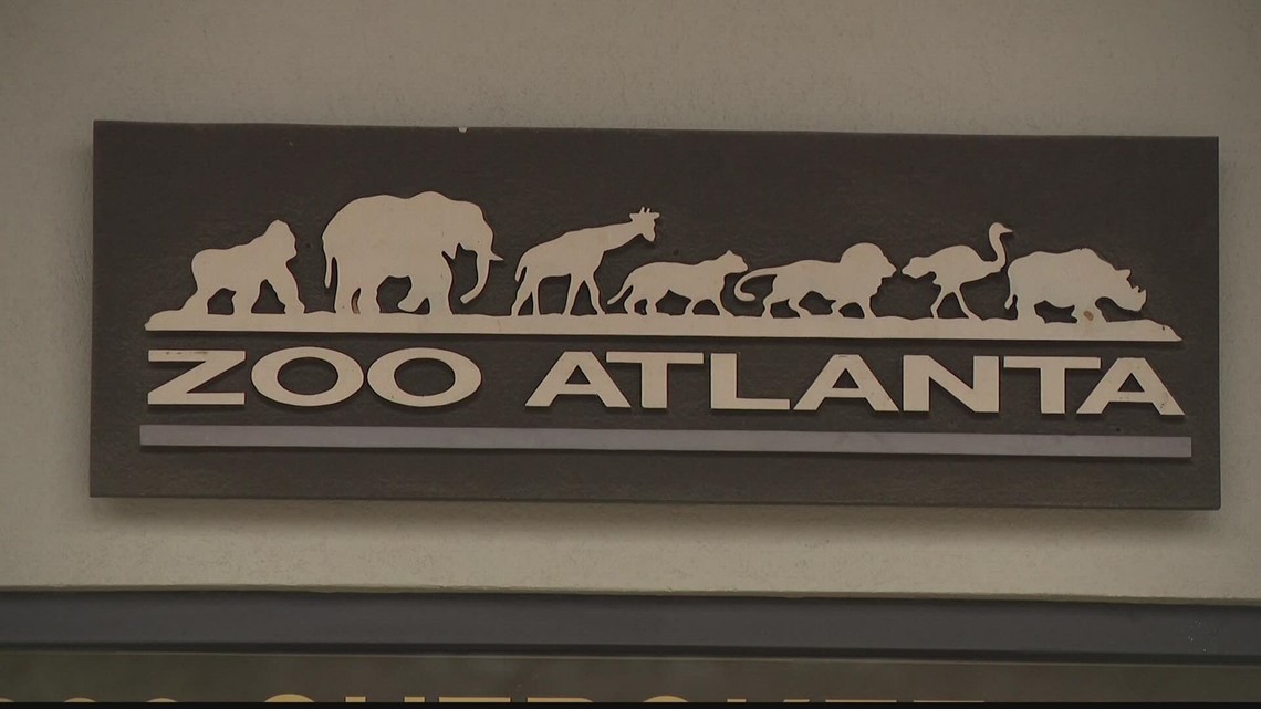 Daily Dealz liquidation store opens on Shurling Drive in Macon | 13wmaz.com