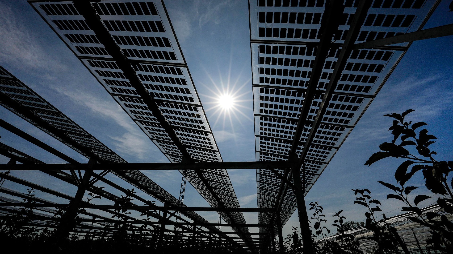 Suniva solar manufacturer resumes at Georgia facility | 13wmaz.com