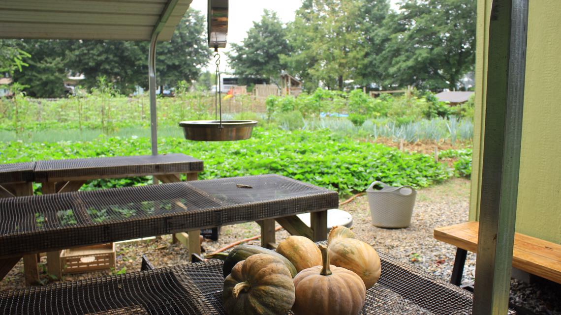 MARTA plans farm at Indian Creek station for Umurima farmers | 13wmaz.com