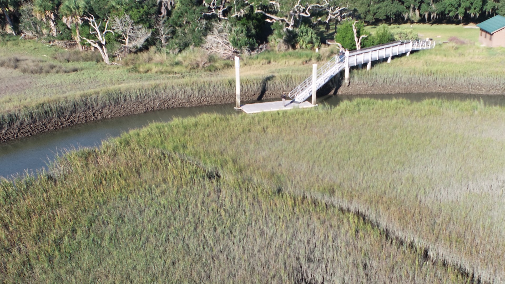 Protecting Georgia marshlands | Climate change | 13wmaz.com