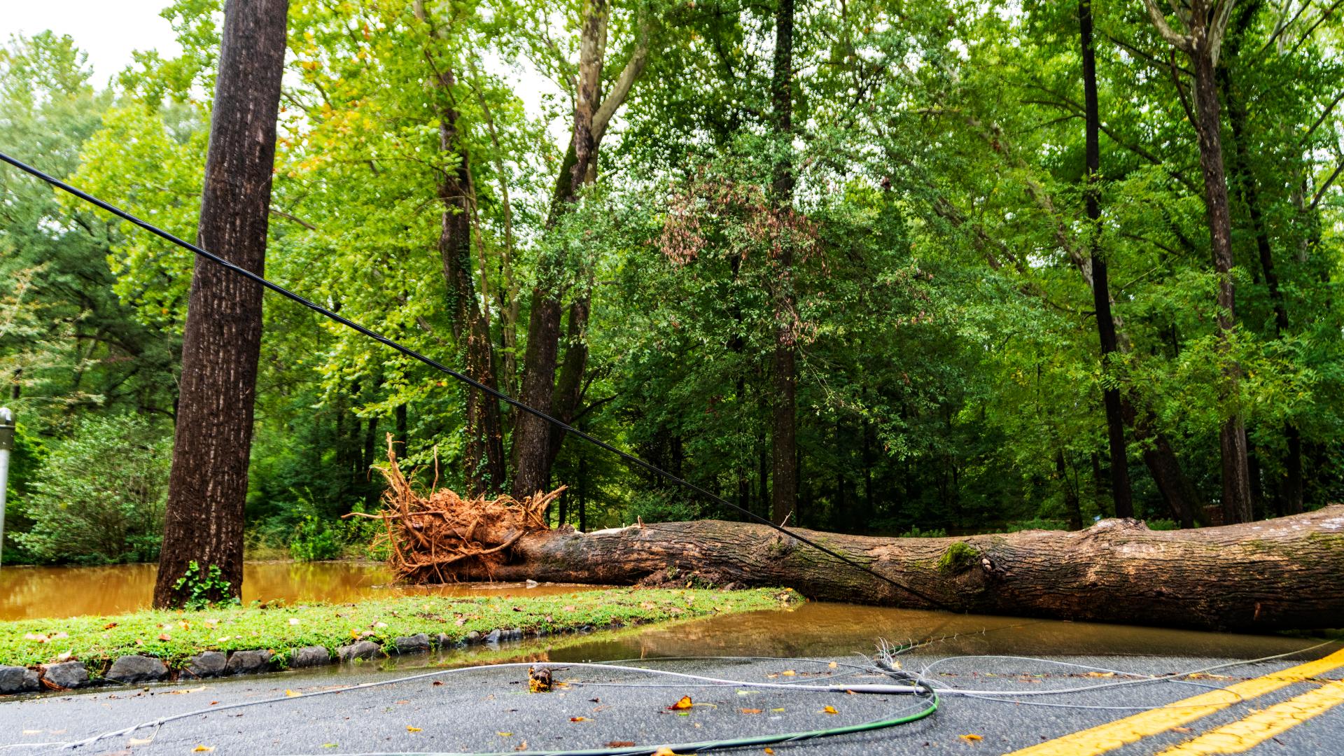 Georgia Power Helene restoration updates | Oct. 5 | 13wmaz.com