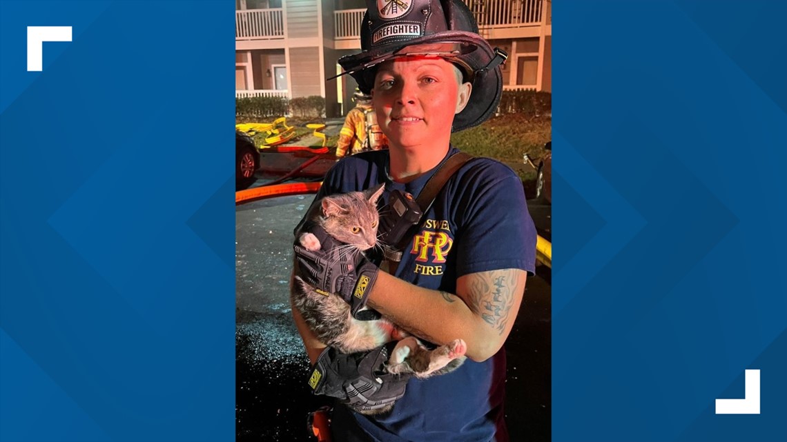 Roswell Georgia Rosemont Apartments fire 22 displaced | 13wmaz.com