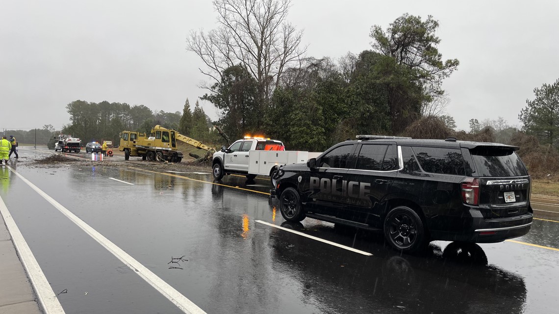 Atlanta weather damage: Tree falls on car in Clayton County wreck ...