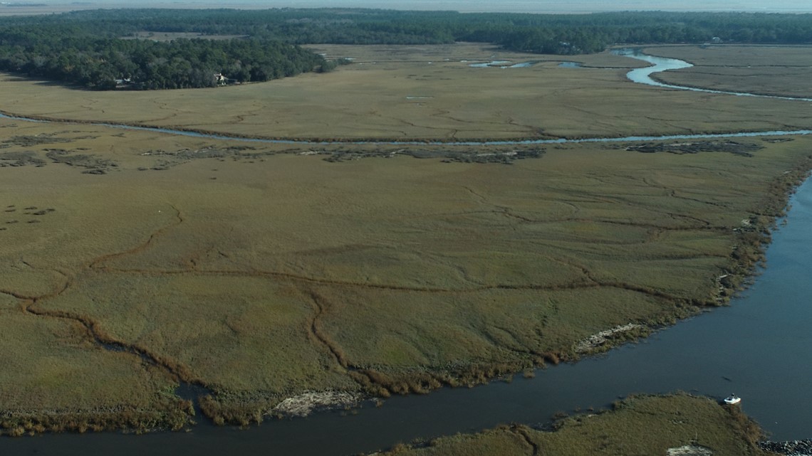 Protecting Georgia marshlands | Climate change | 13wmaz.com