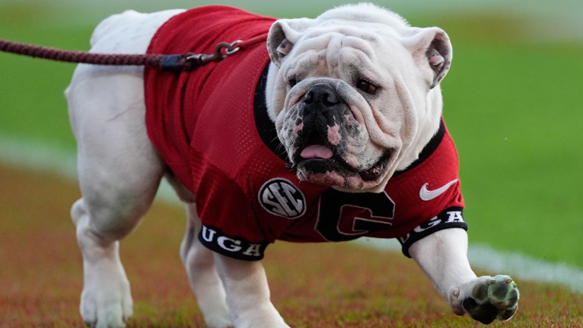 When is UGA spring game? When is G-Day 2025? | 13wmaz.com