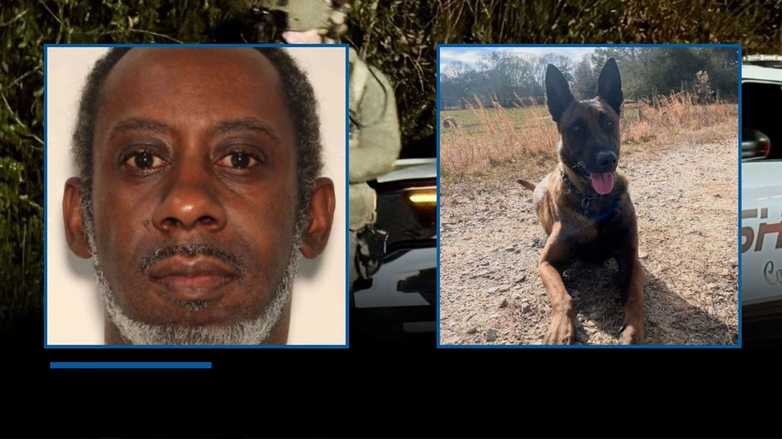 Charges revealed as GSP K-9 shooting suspect denied bond before ...